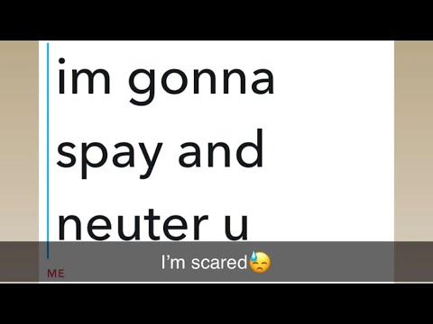 EXTRA FREAKY FRIDAY (week 9) - YouTube