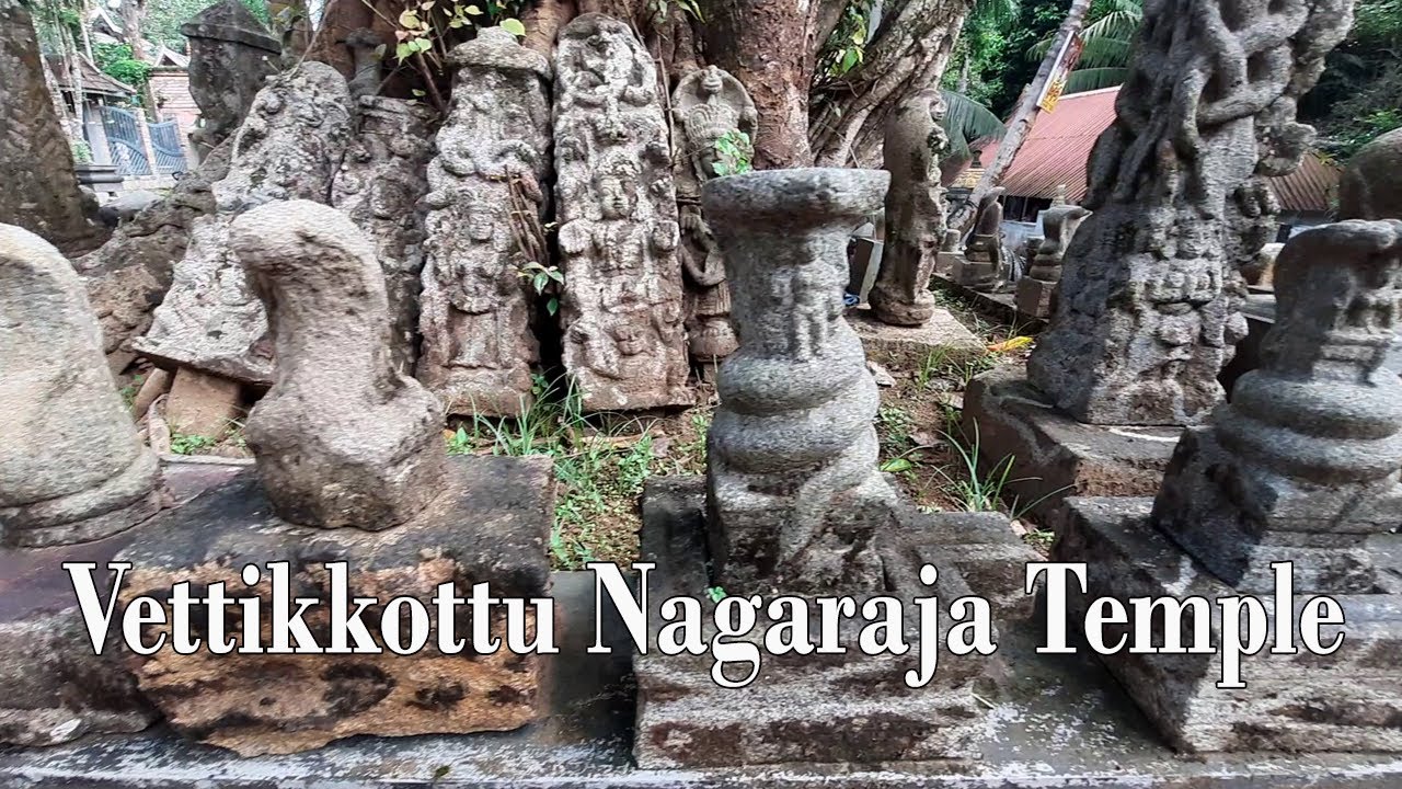 Vettikkottu Nagaraja Temple in Kerala | The worlds famous Naga temple (serpents) - YouTube