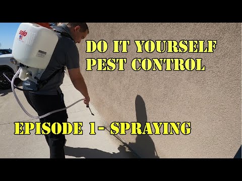 Do It Yourself Pest Control Tips