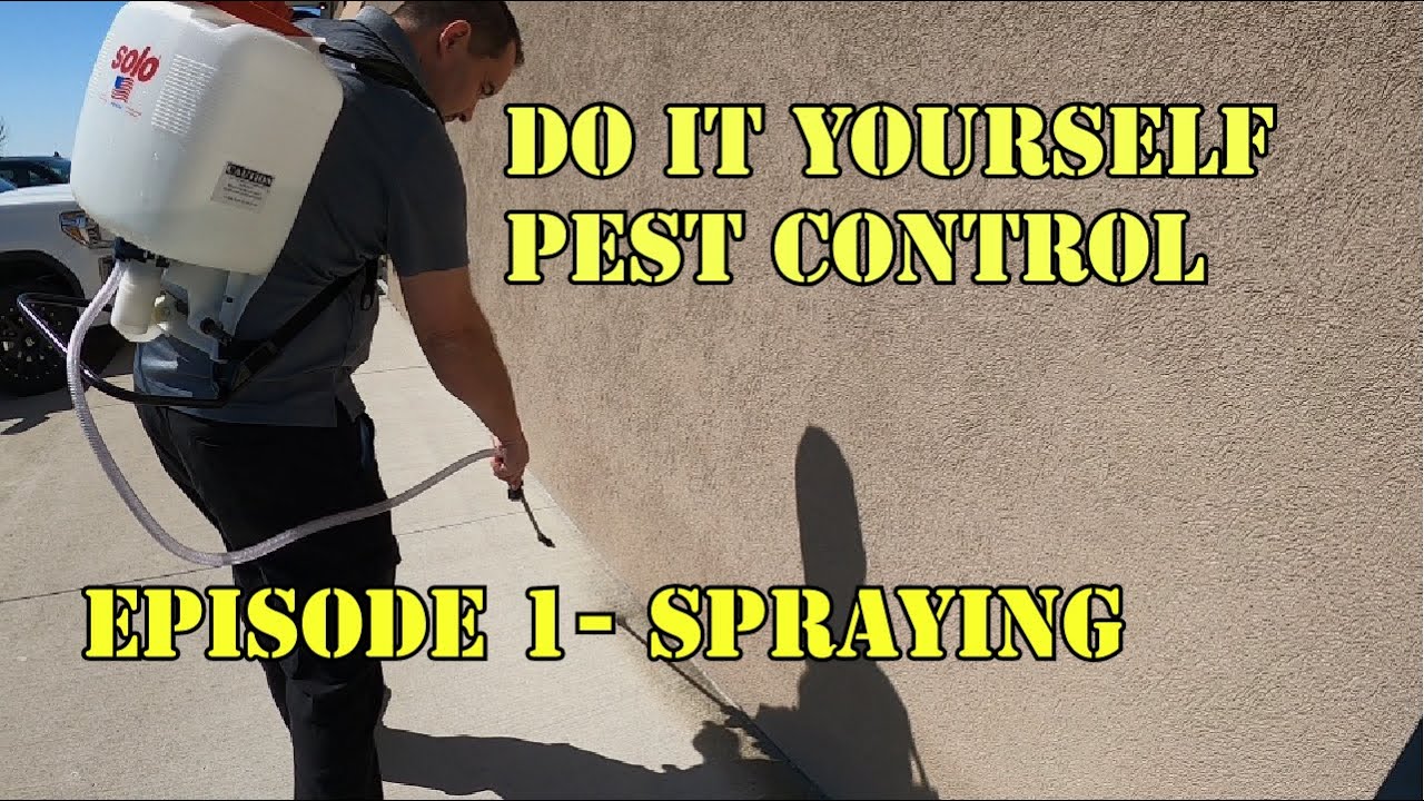 Do it yourself Pest Control. How to spray around your home. - YouTube
