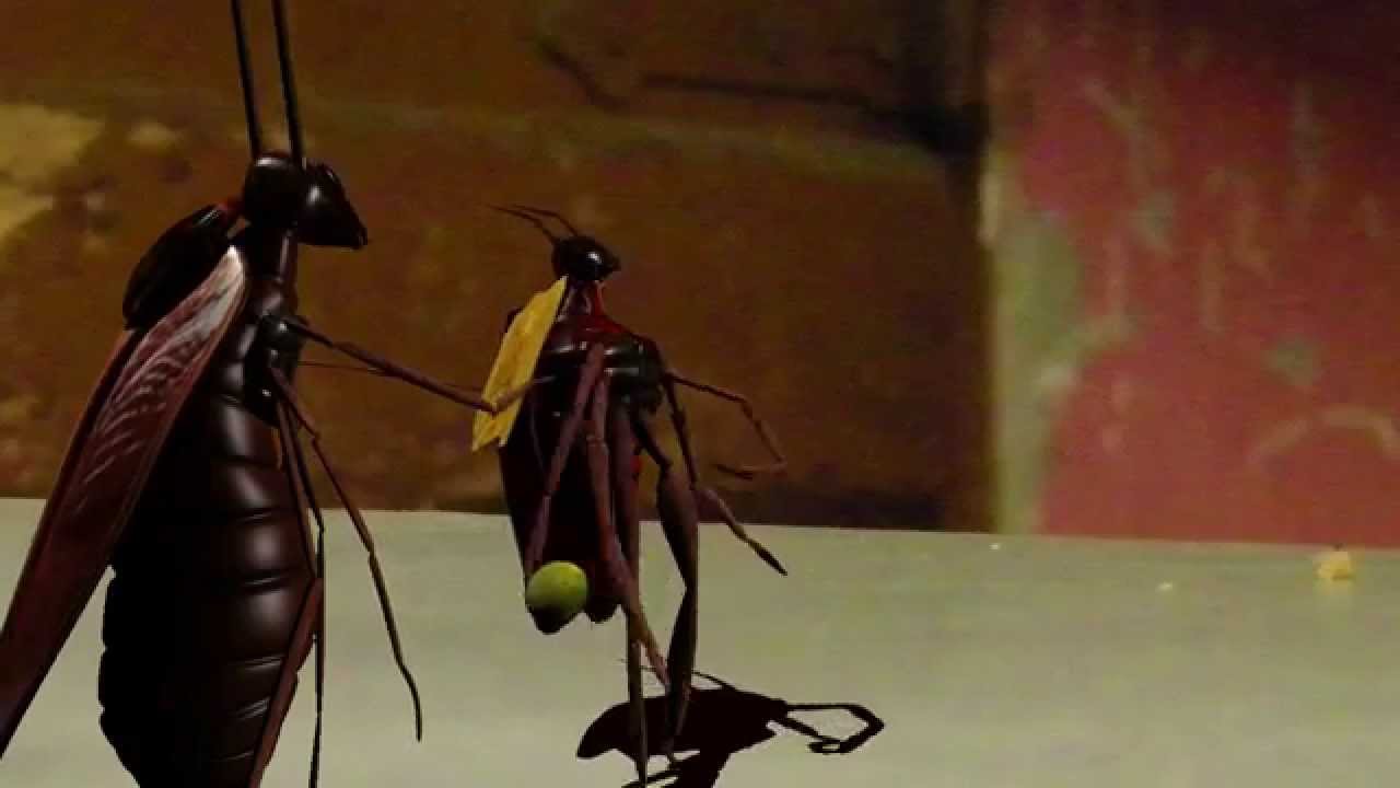 Kukas Miniserie Episodio 1º ¿Um? (Beta) - YouTube