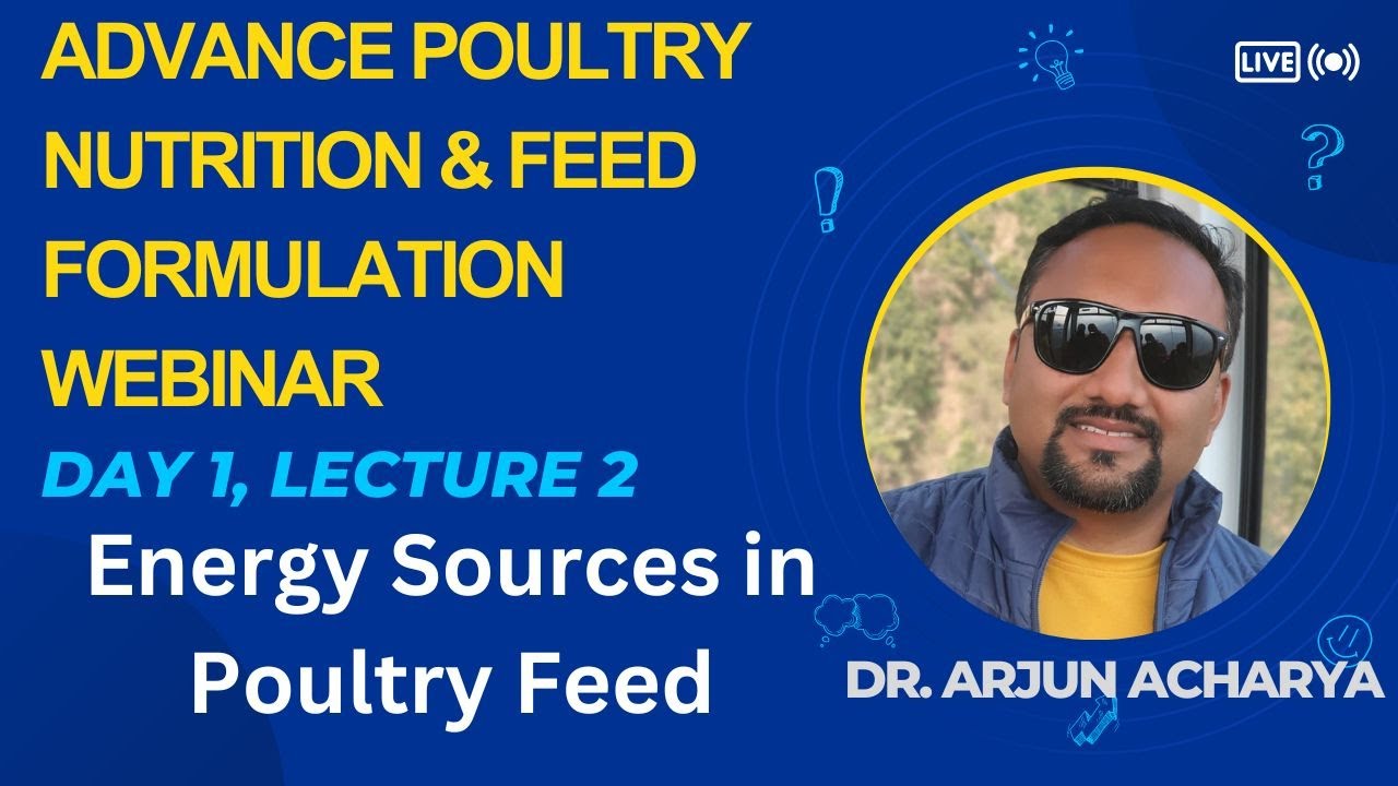 Energy Sources in Poultry Feed, day1, lecture2; Poultry Nutrition ...