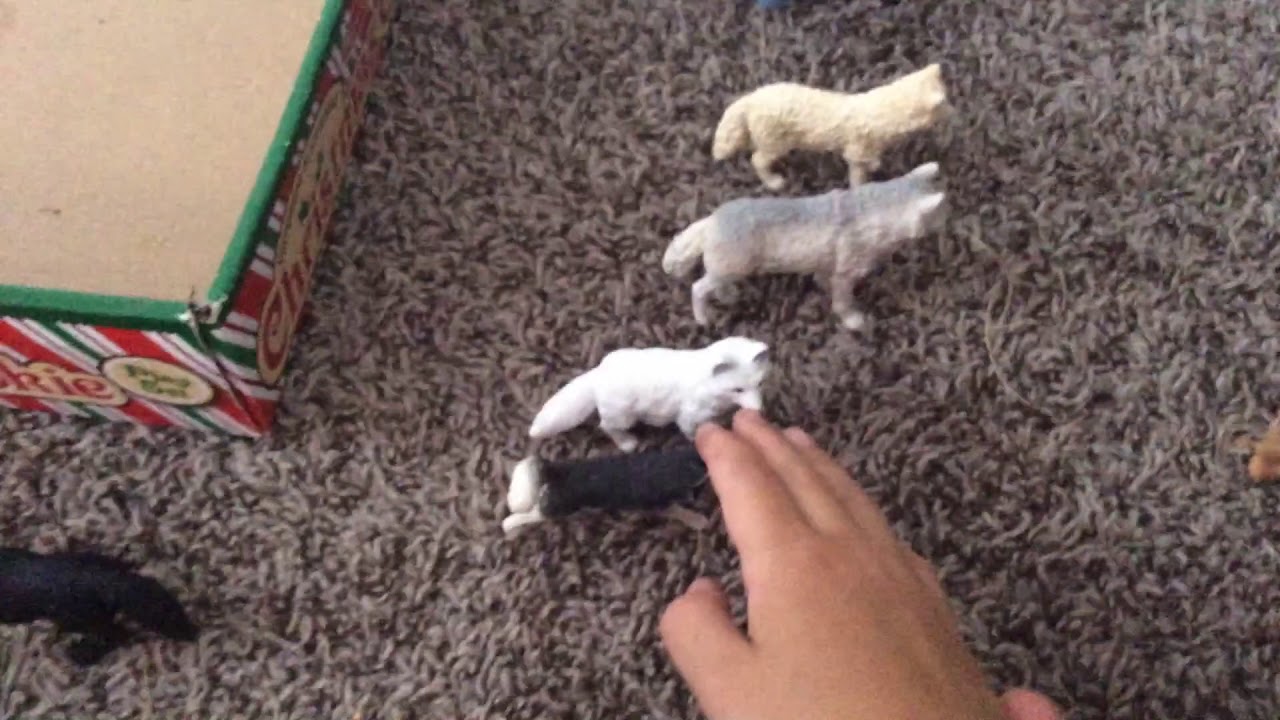 The Big cat fight part five - YouTube