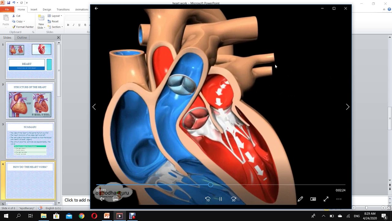 Structure and Function of the Heart, grade: 5 - YouTube
