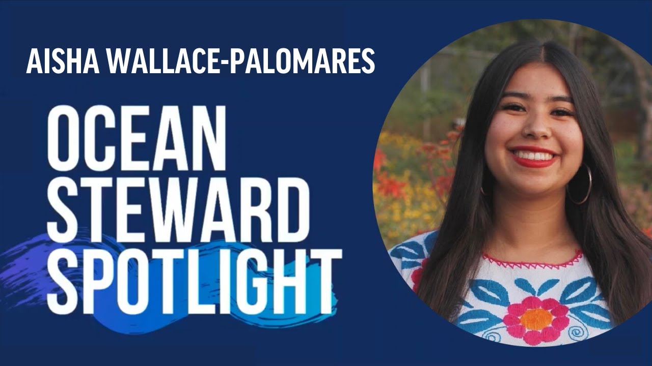Aisha Wallace-Palomares: Ocean Steward Spotlight - YouTube