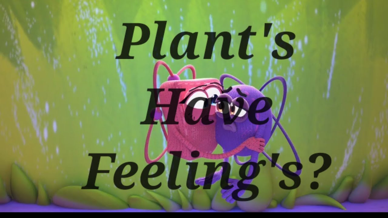 SCIENCE FAIR For Kid s Animation Stories Plants Feelings Bhavani science-fair-for-kid-s-animation-stories-plants-feelings-bhavani
