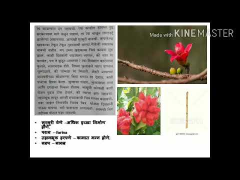 Mi Chitrakar Kasa Jhalo ( मी चित्रकार कसा झालो). - YouTube