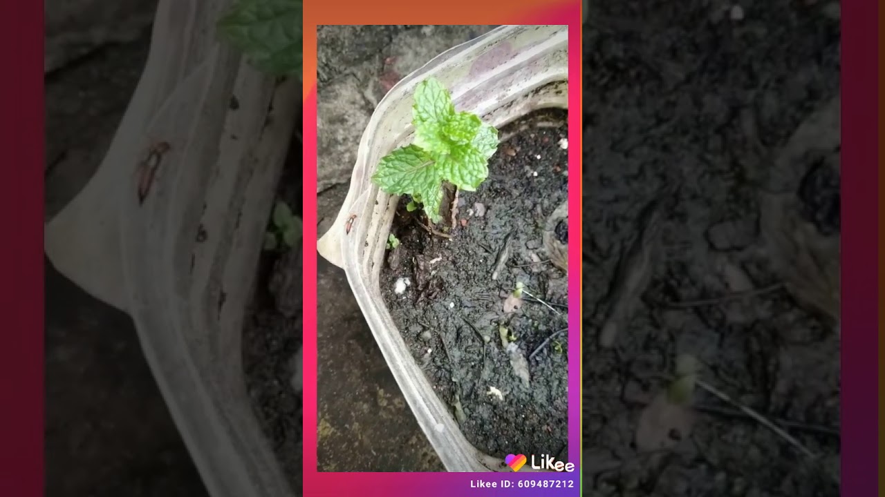 Nairobi fly - YouTube