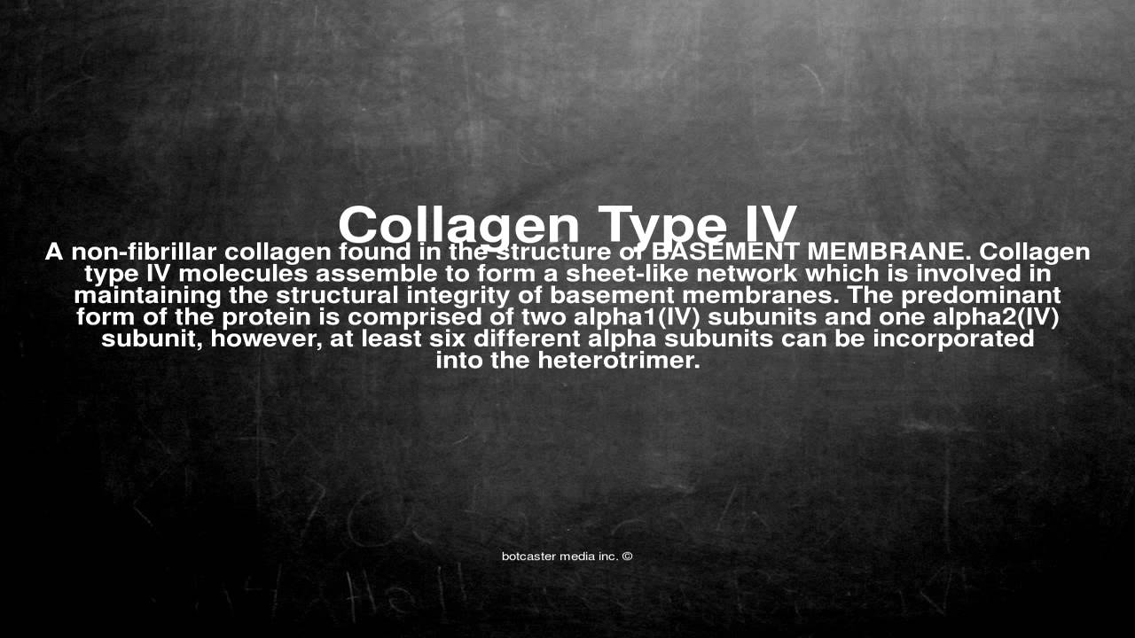 Medical vocabulary: What does Collagen Type IV mean - YouTube