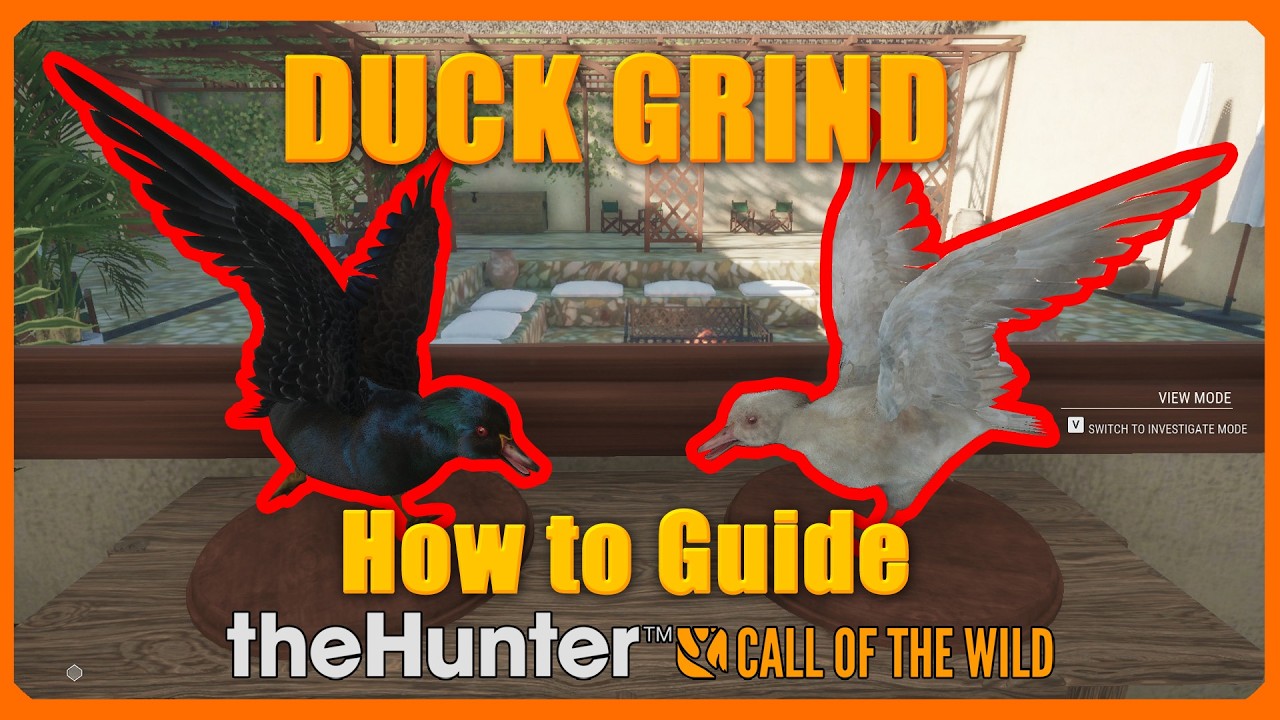 Ultimate Duck Hunting Guide 🎯 | How to Hunt Ducks Like a Pro ...