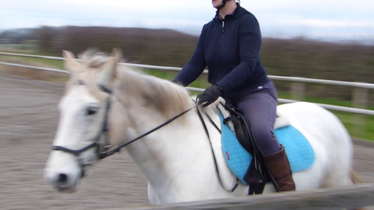 Alison Burton and Golly Miss Polly = Interdressage December 2018 (Walk ...
