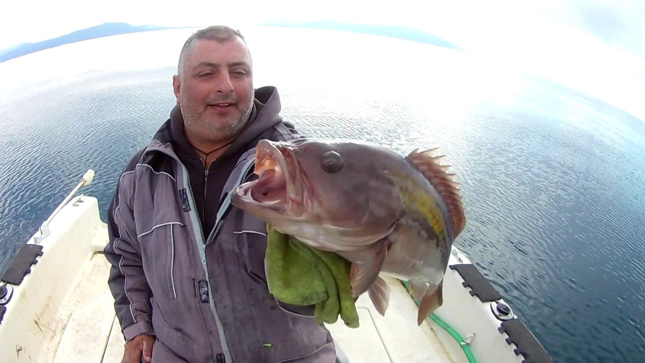 ΟΤΑΝ ΤΑ ΨΑΡΙΑ ΕΙΝΑΙ ΚΥΝΗΓΗΜΕΝΑ - BOTTOM FISHING - YouTube