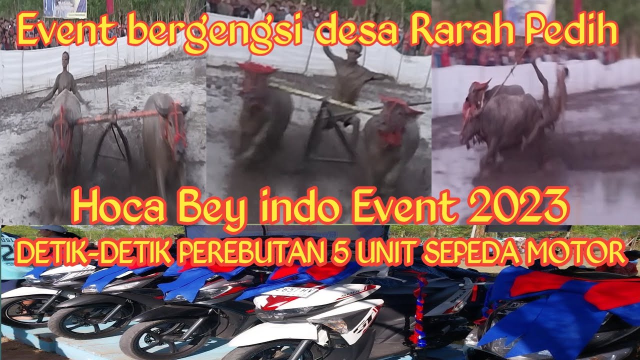 Event Bergengsi!! Hoca Bey indo 2023 Detik-detik perebutan 5 unit ...