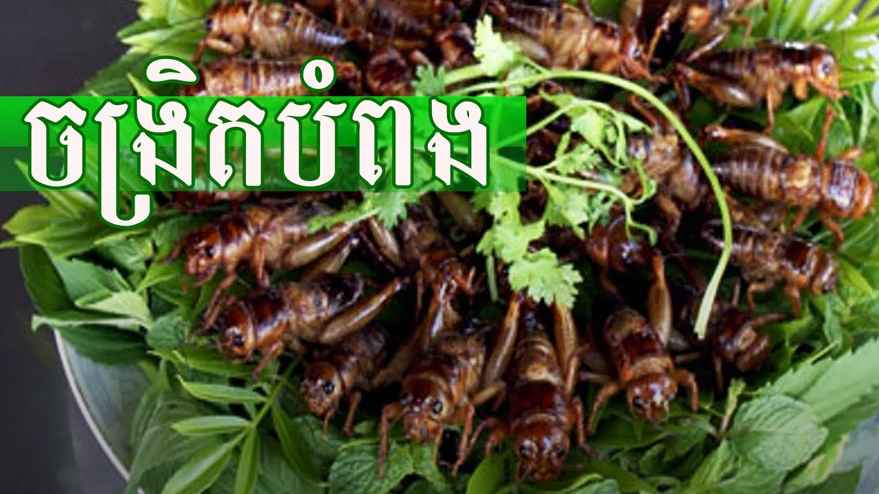 Khmer Fried Insects - RoadTrip Cambodia - YouTube