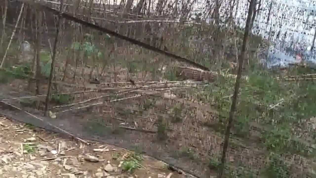 10-Ban Mae Surin Refugee Camp Fire - YouTube