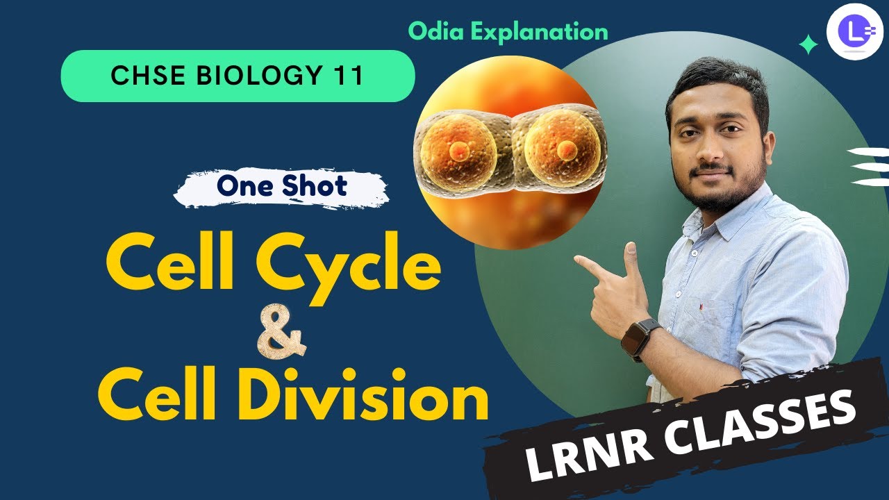 Cell Cycle and Cell Division class 11 one shot | LRNR Classes - YouTube