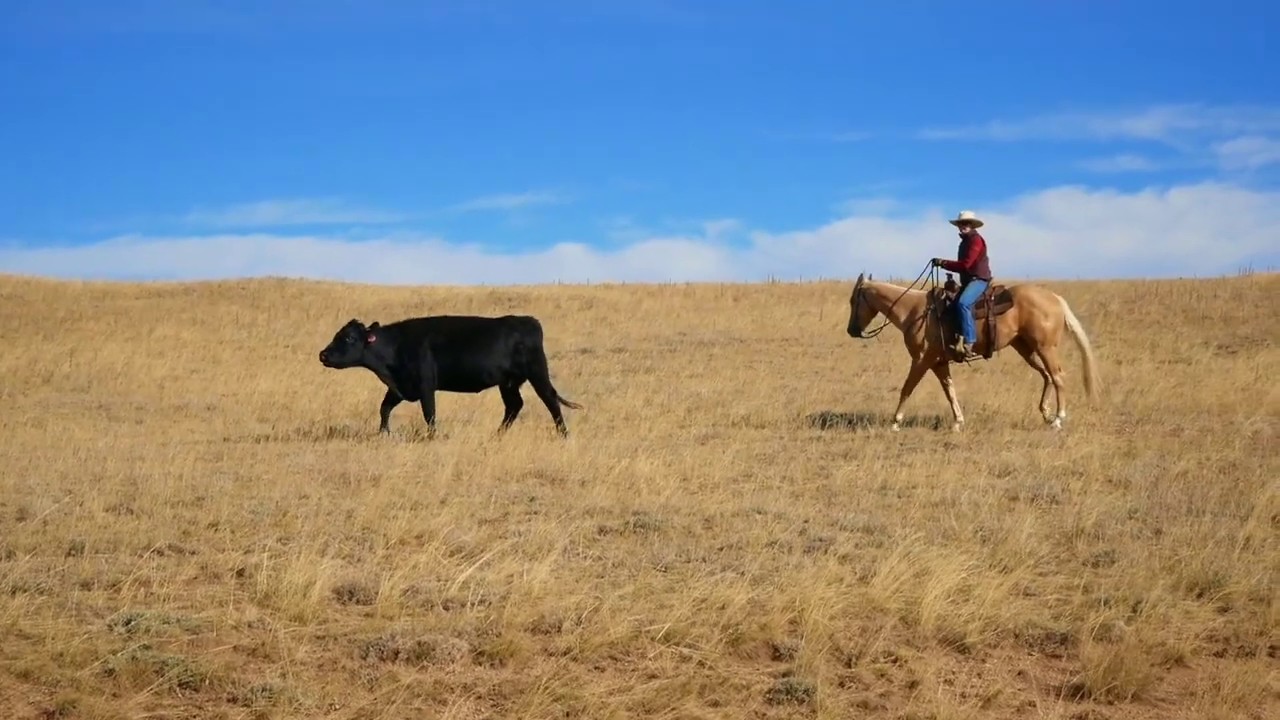 The King Ranch 1 - YouTube