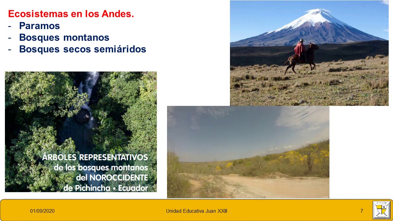Regiones naturales del Ecuador: ecosistemas - Ciencias - YouTube