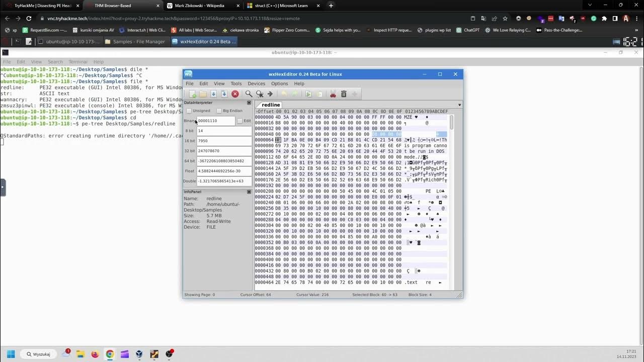 TryHackMe #656 Dissecting PE Headers - YouTube