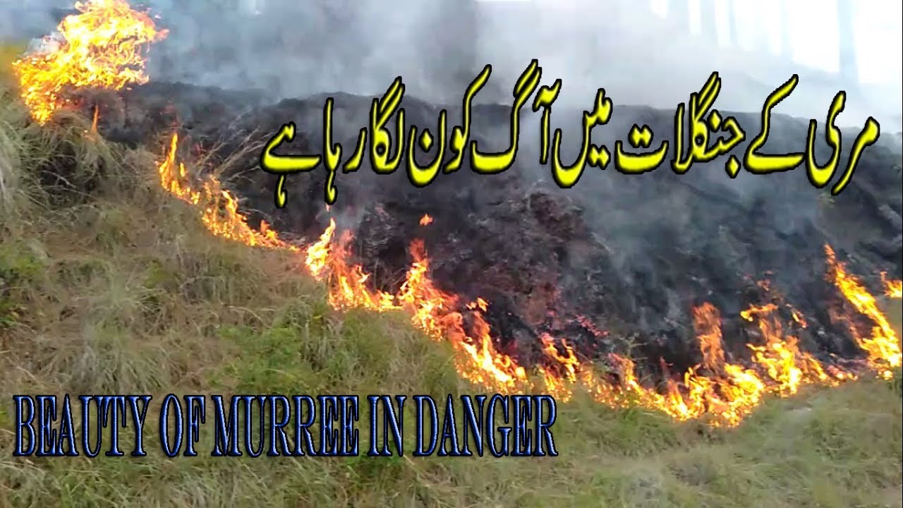 Forest Fire in Murree Area Shoot Video - YouTube