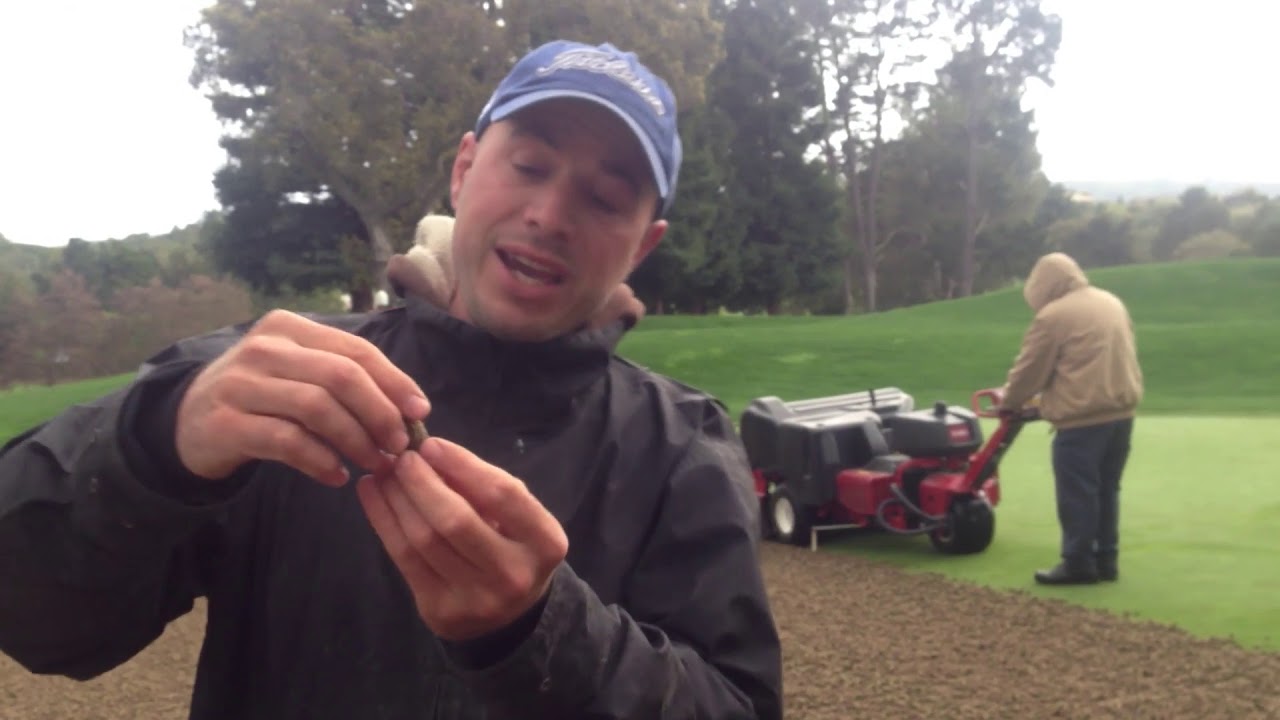 Aerification Explained - YouTube