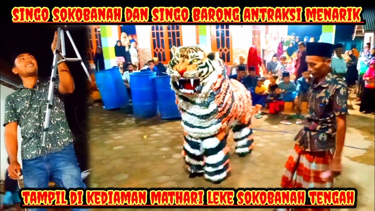 SINGO SOKOBANAH DAN SINGO BARONG ANTRAKSI MENARIK DI KEDIAMAN MATHARI ...