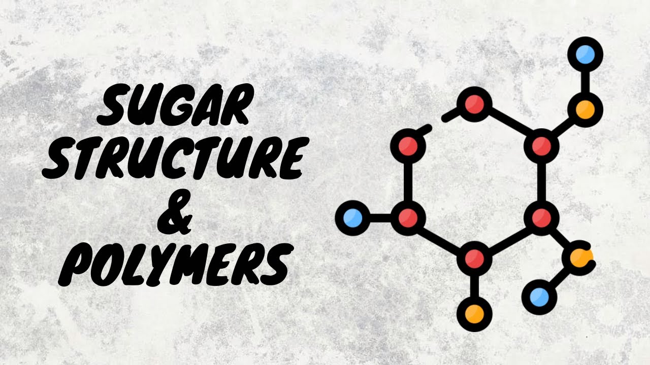 Sugar Structure & Polymers - YouTube