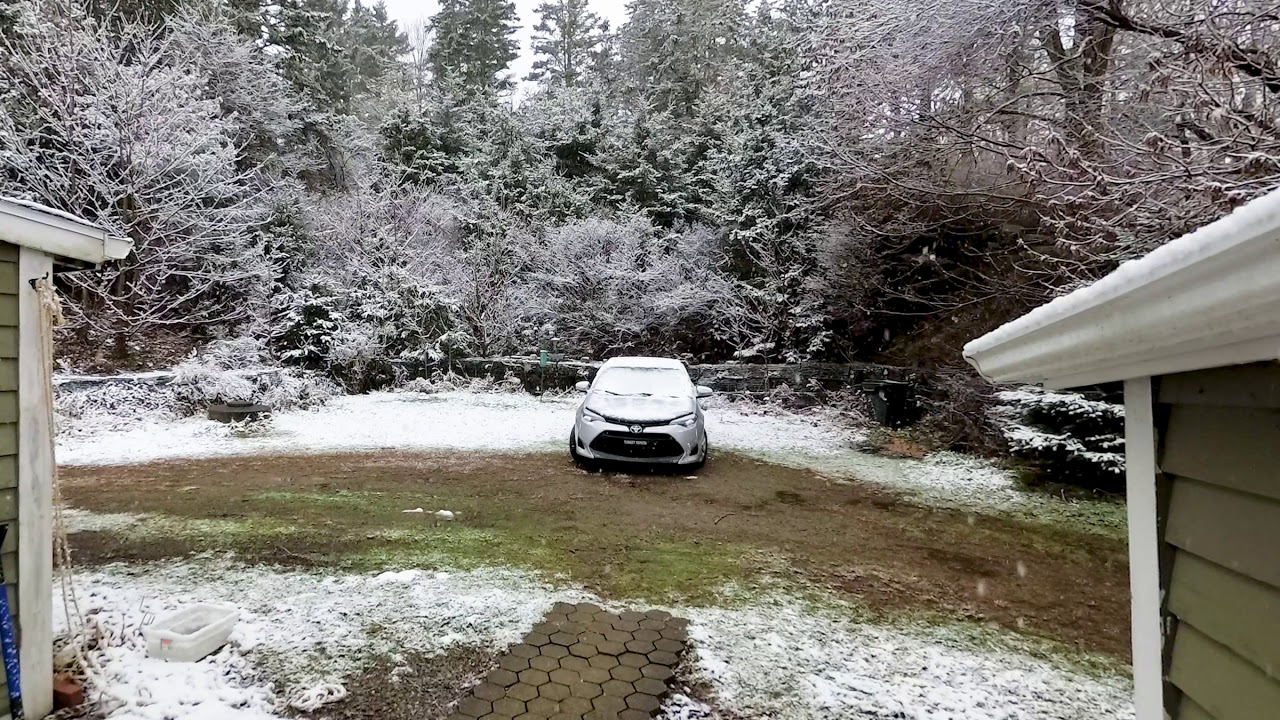 Snow Accumulation Time Lapse - YouTube
