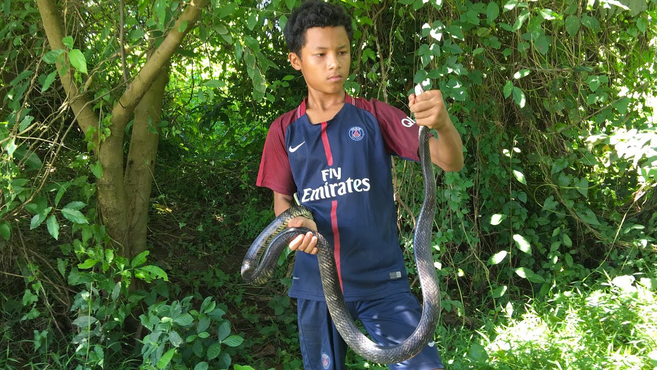 Amazing brave cowboy catch snake in bamboo tree by hand - Kid survival ...