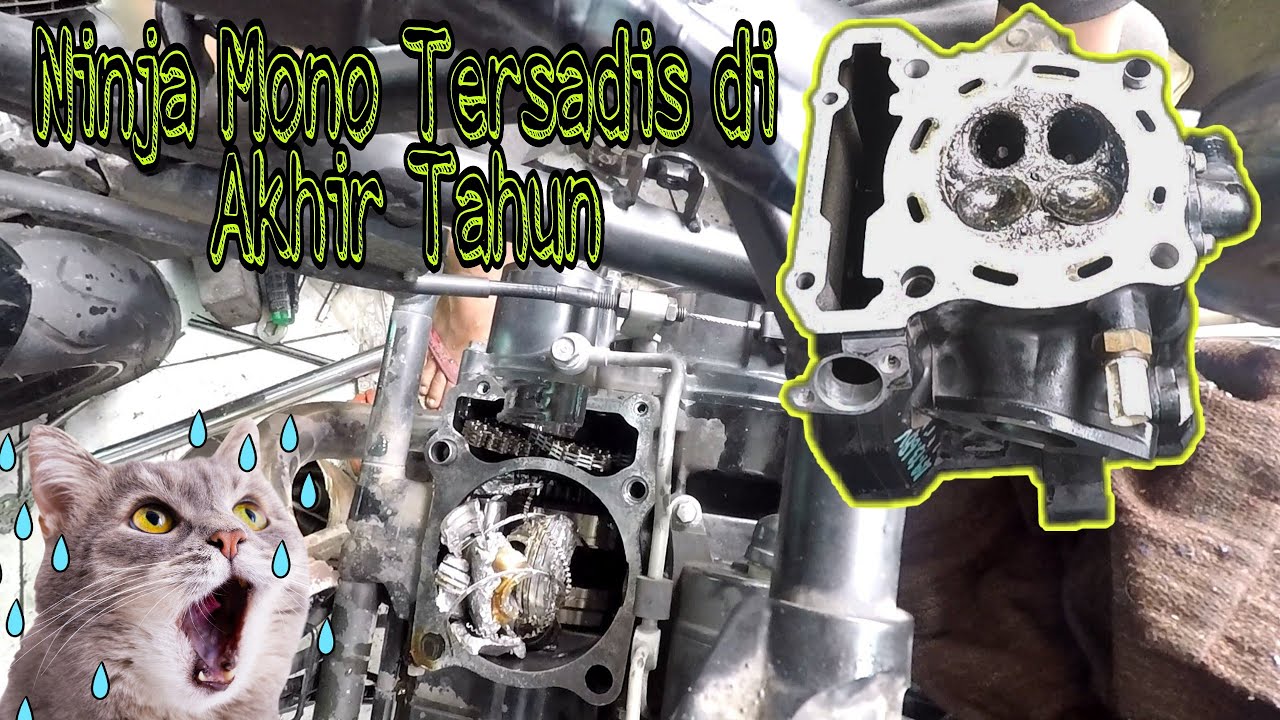 Ninja 250 SL Korban Bucin || Ambyar Sob!!! 😭 - YouTube