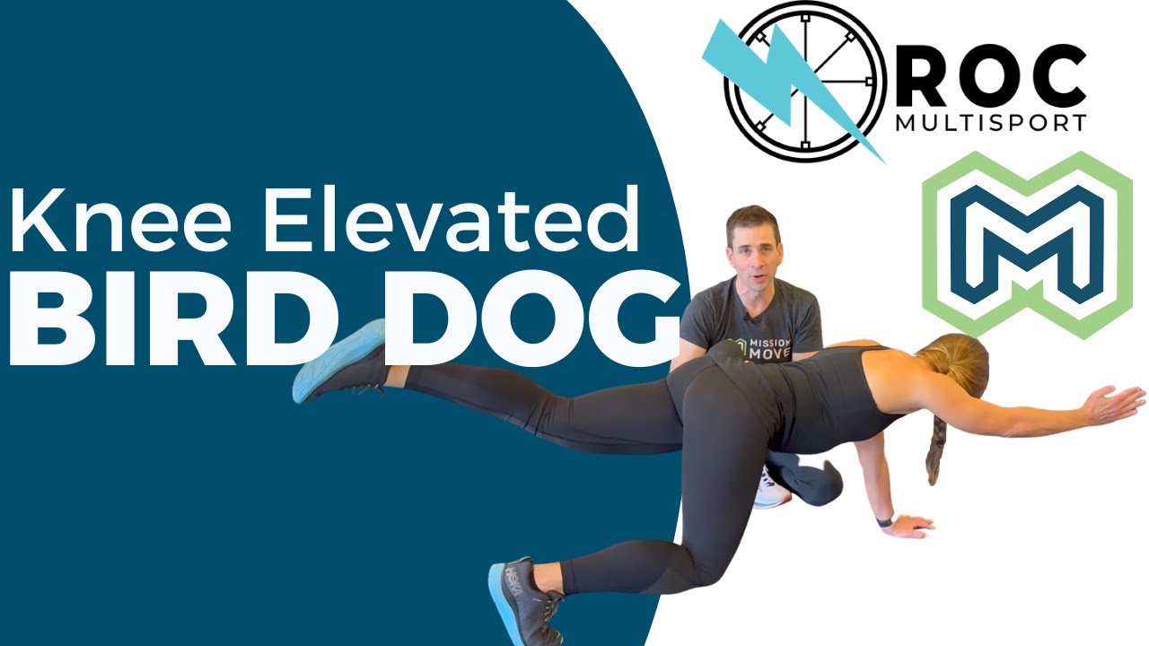 The Knee Elevated Bird Dog - YouTube
