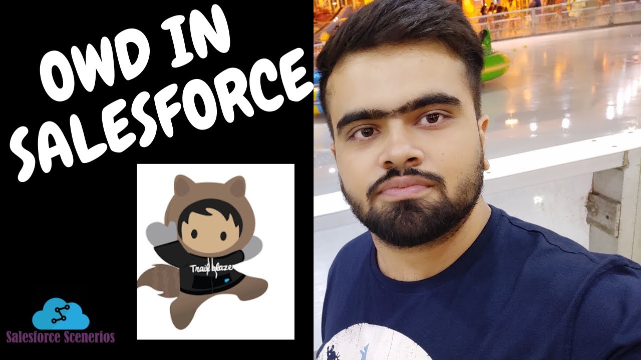 OWD ( Organization Wide Defaults) in Salesforce with Business Scenarios ...