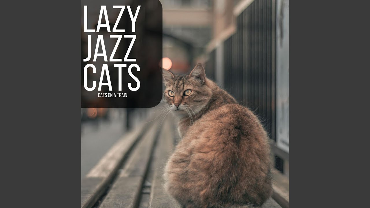 The Strangest Of Cat And Jazz Based Vibes - YouTube