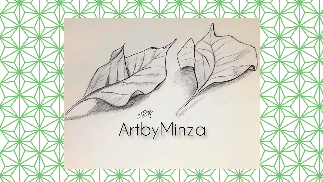 Leaf sketch/drawing. How to draw leaf sketch easily step by step ...