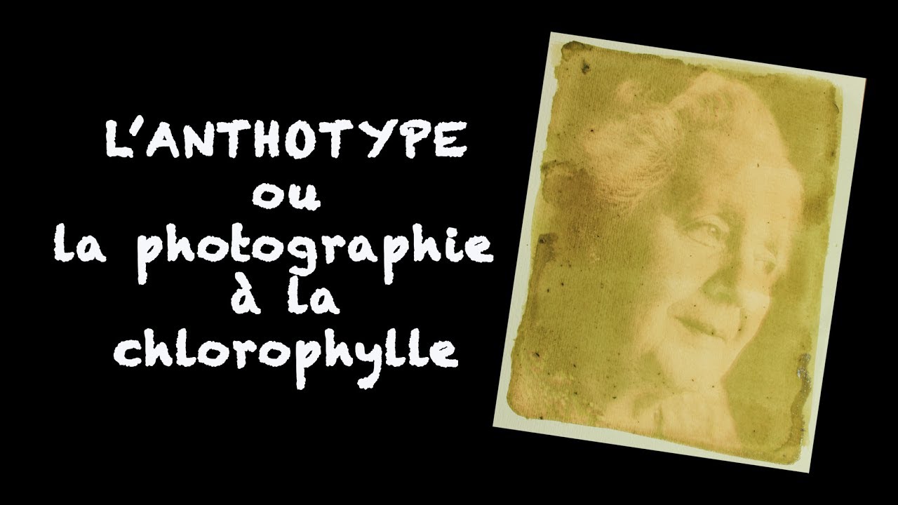 L'anthotype ou comment faire de la photo à la chlorophylle - YouTube