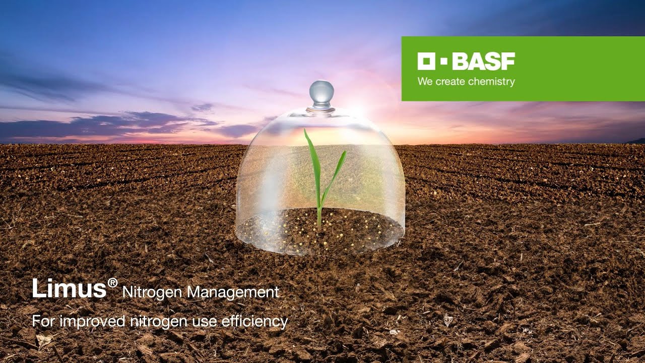 How Limus® Nitrogen Management by BASF works - YouTube