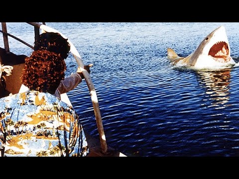 Great white (The Last shark) 1981 american Trailer - YouTube