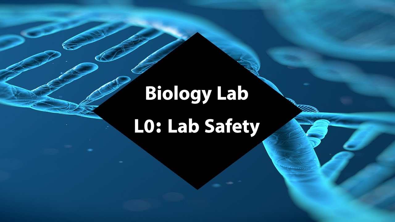 Biology Lab || L0: Lab Safety || Ahmad Al-Tarayrah - YouTube