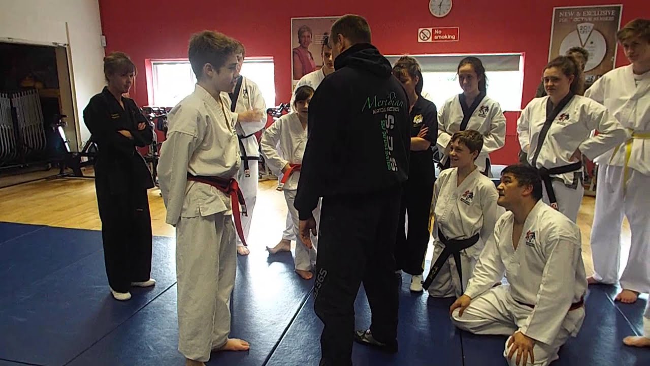 Recent Seminar With George Gauld Of Primal Martial Arts - YouTube