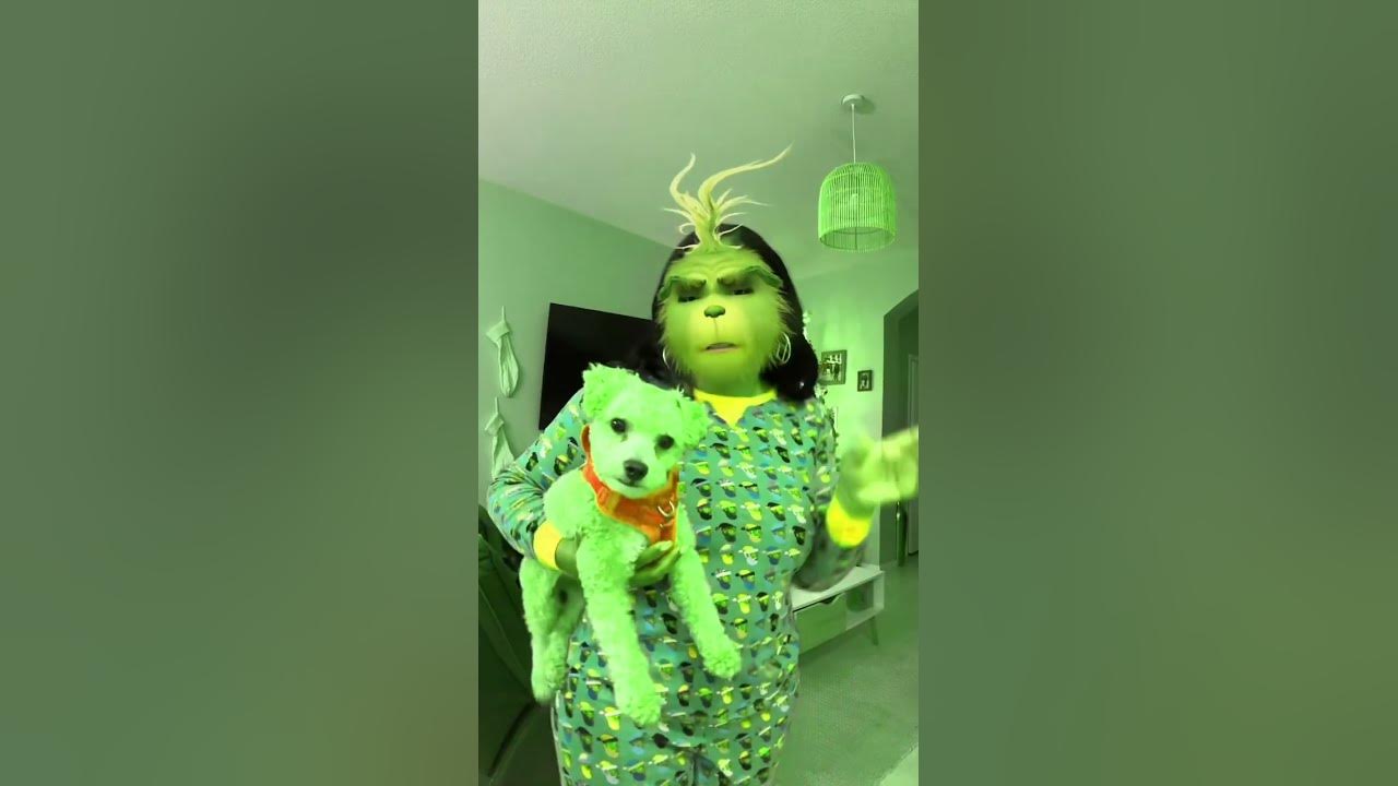 Tik Tok Grinch Filter Youtube