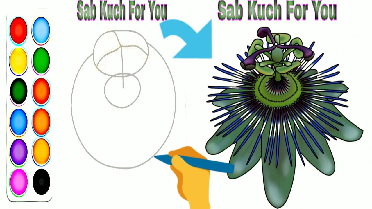 How to Draw beautiful flower Passion very easy Step by step. easily 🔥 ...