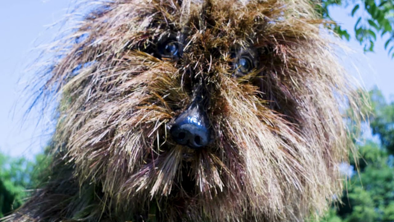 BOTANICA | Shaggy Dog Topiary! - YouTube