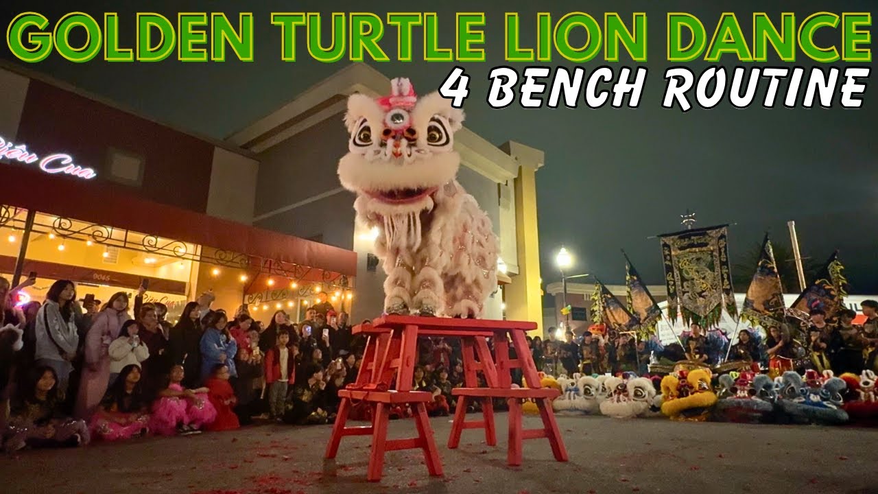 Golden Turtle Lion Dance | 4 Bench Routine 2025 - YouTube