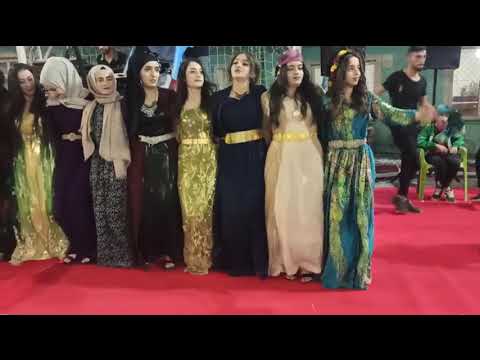 GENÇ KIZLARDAN MÜKEMMEL XERZANİ - CİDA - -KURDİSCHE HOCHZEİT - KURDİSH WEDDİNG 2021  ©