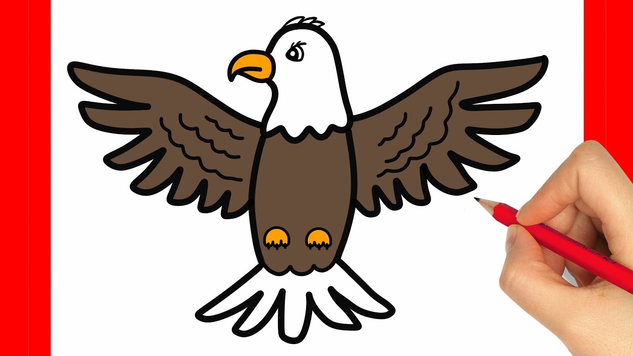 COMMENT DESSINER UN AIGLE - COMMENT DESSINER UN FAUCON - YouTube