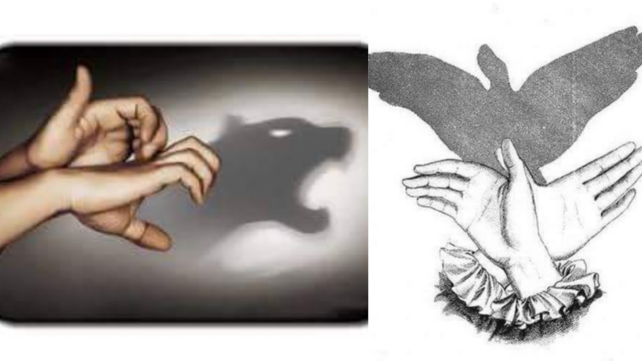 for kids tutorial/sign/hands/animal🐕🐂🐮🦌🐴🐎🐈🐯 - YouTube