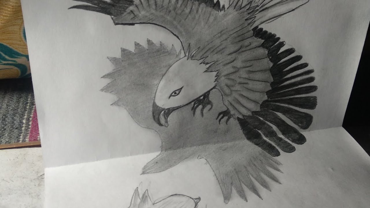 Bird art drawing and 3D art drawing - YouTube