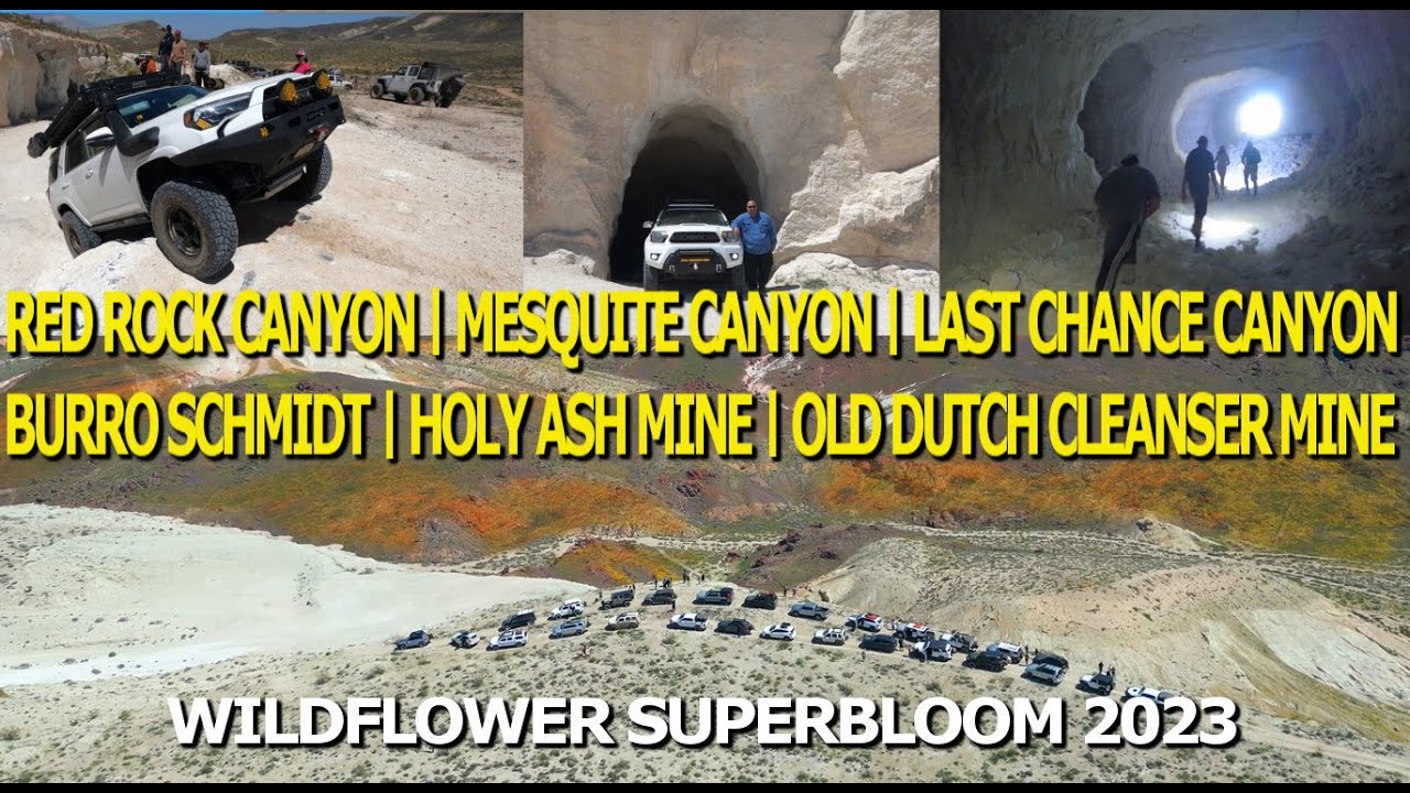 Red Rock Canyon Superbloom - Mesquite Canyon / Last Chance Canyon ...
