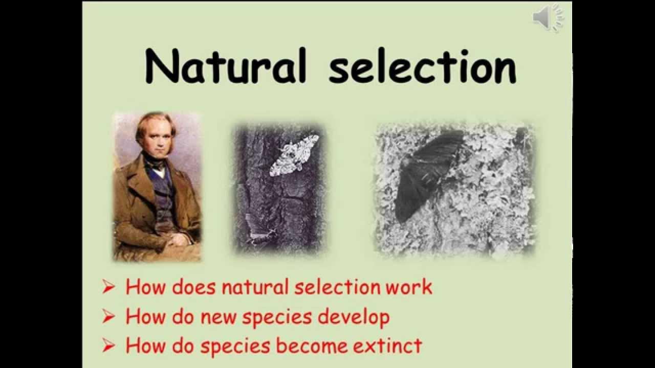 Natural Selection (GCSE Combined Science Biology) - YouTube