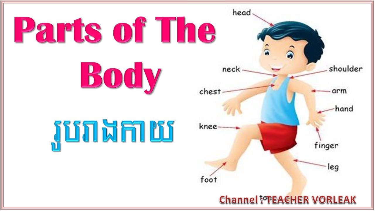 Learn English Khmer Parts of the Body | រៀនភាសាអង់គ្លេសខ្មែរ ...